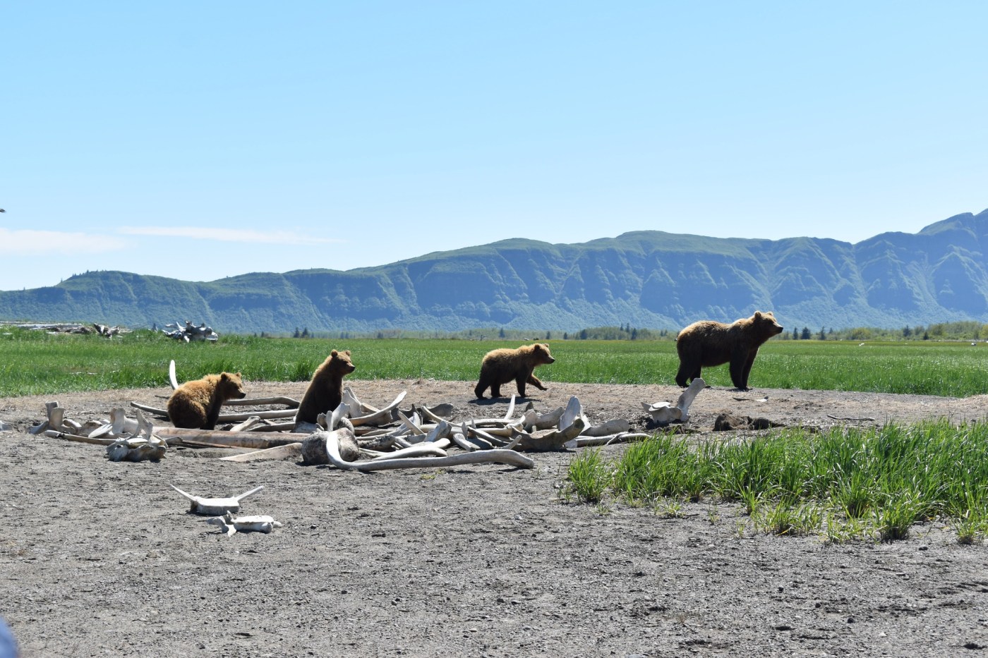 Frequenly Asked Questions in Homer, Alaska | Beryl Air
