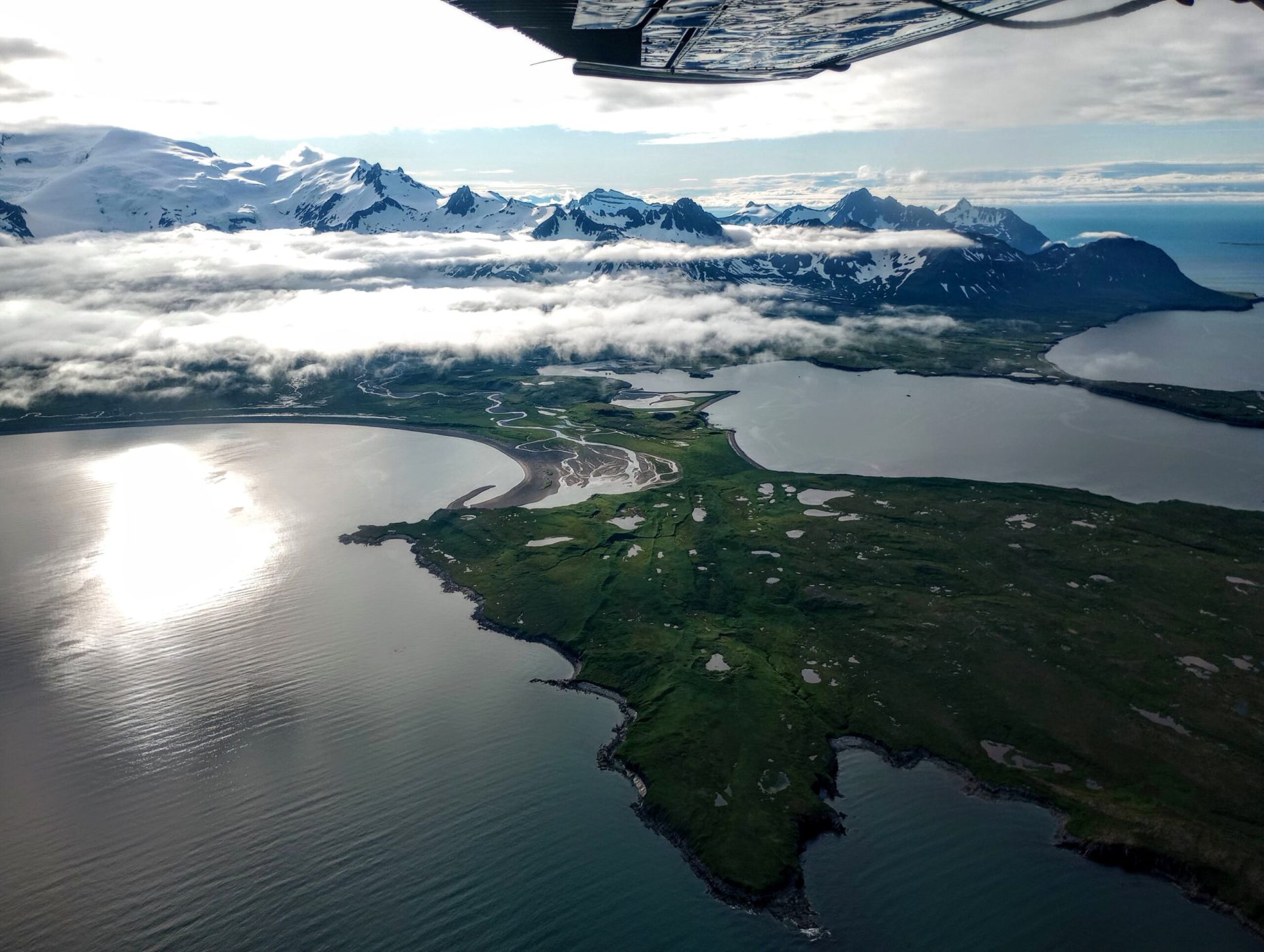 Alaska Float Plane Tours and Bear Viewing | Beryl Air